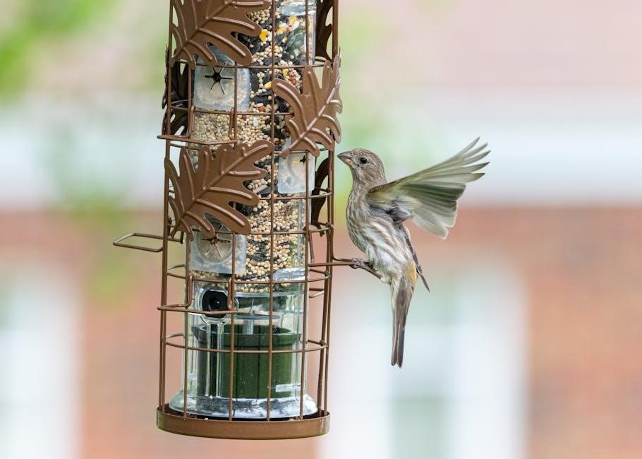 Fourth Wing: Book 1 PDF - Explore the Adventure | Theodore Lyman